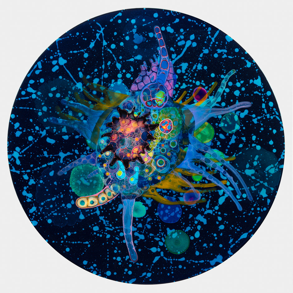 Bruce Riley available paintings – Bruce Riley Gallery