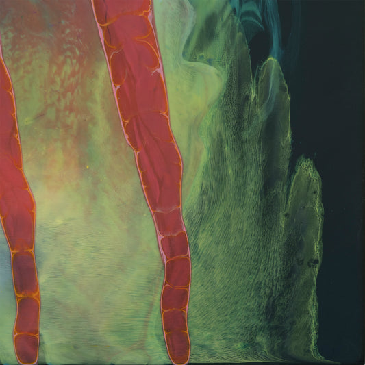 Bruce Riley available paintings – Bruce Riley Gallery